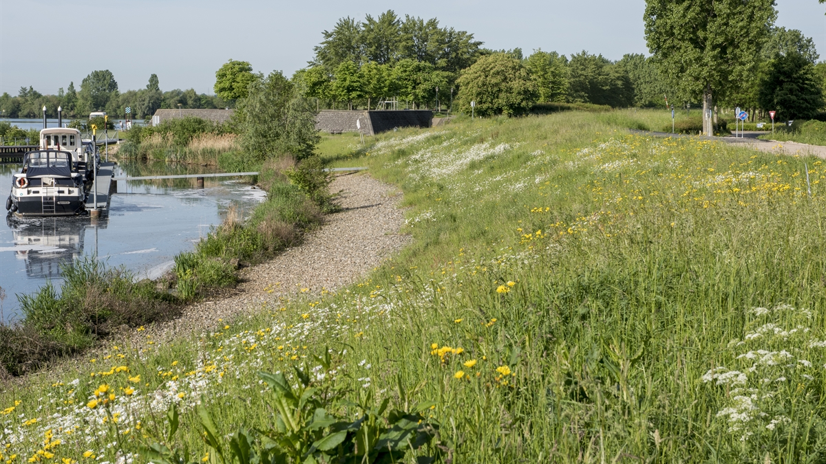 Dijkversterking Thorn - Wessem - Waterschap Limburg