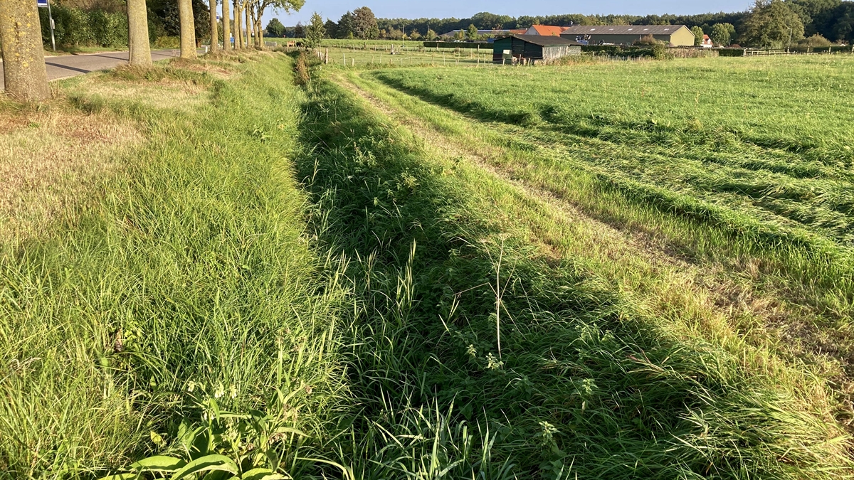 Herinrichting Maasnielderbeek bovenloop - Waterschap Limburg