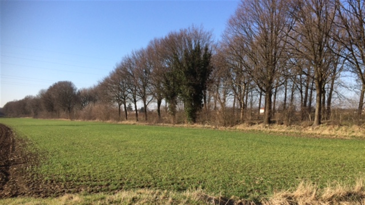 Explosievenonderzoek Rode Beek Susteren - Waterschap Limburg