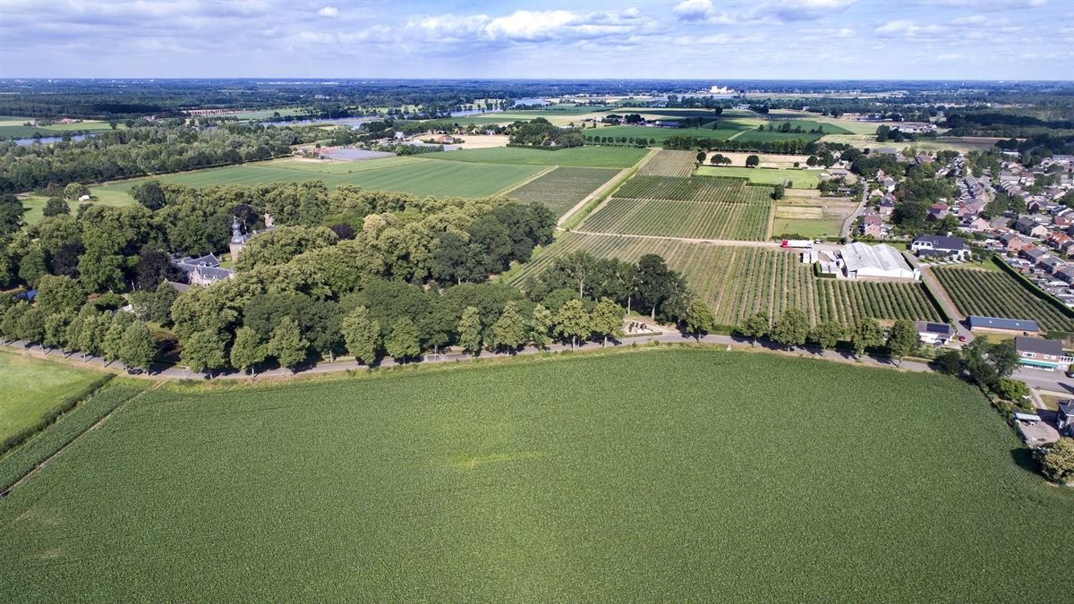 Well: “Als team kunnen we het maximale uit de Groene Rivier halen ...