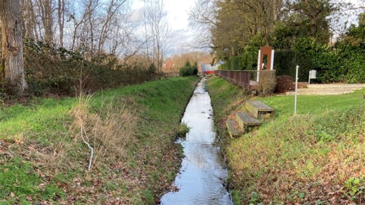 Waterschap gaat voor optimale herinrichting Rode Beek Millen-Susteren ...